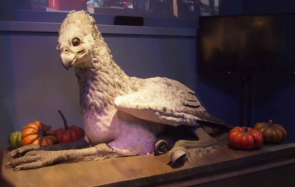 Kerri Potter and the Half-Blood Philosopher’s Chamber of Deathly ...