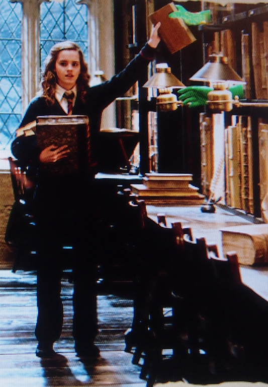 Kerri Potter and the Half-Blood Philosopher’s Chamber of Deathly ...