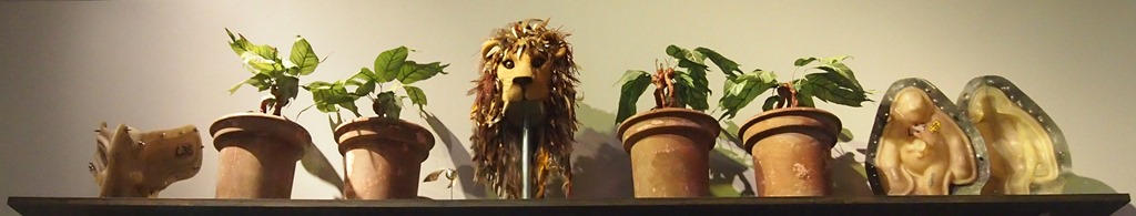 Kerri Potter and the Half-Blood Philosopher’s Chamber of Deathly ...